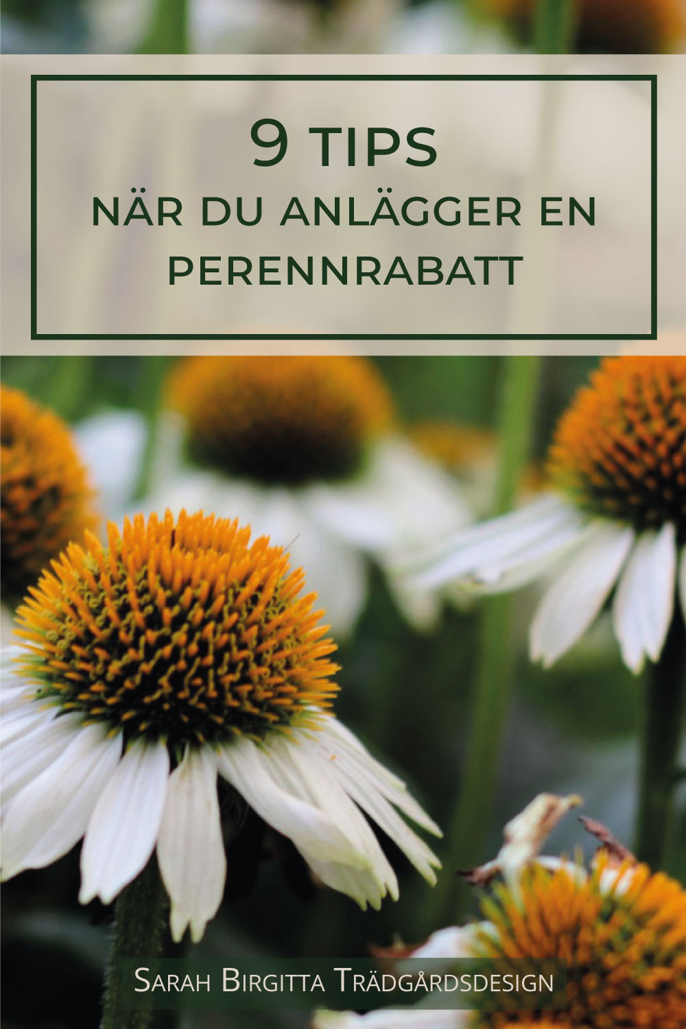 9 tips när du anlägger en perennrabatt - Sarah Birgitta Trädgårdsdesign